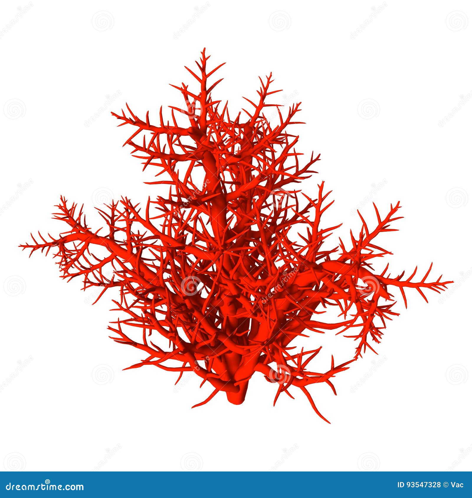 3D Che Rende Corallo Rosso Su Bianco Fotografia Stock - Immagine di ...
