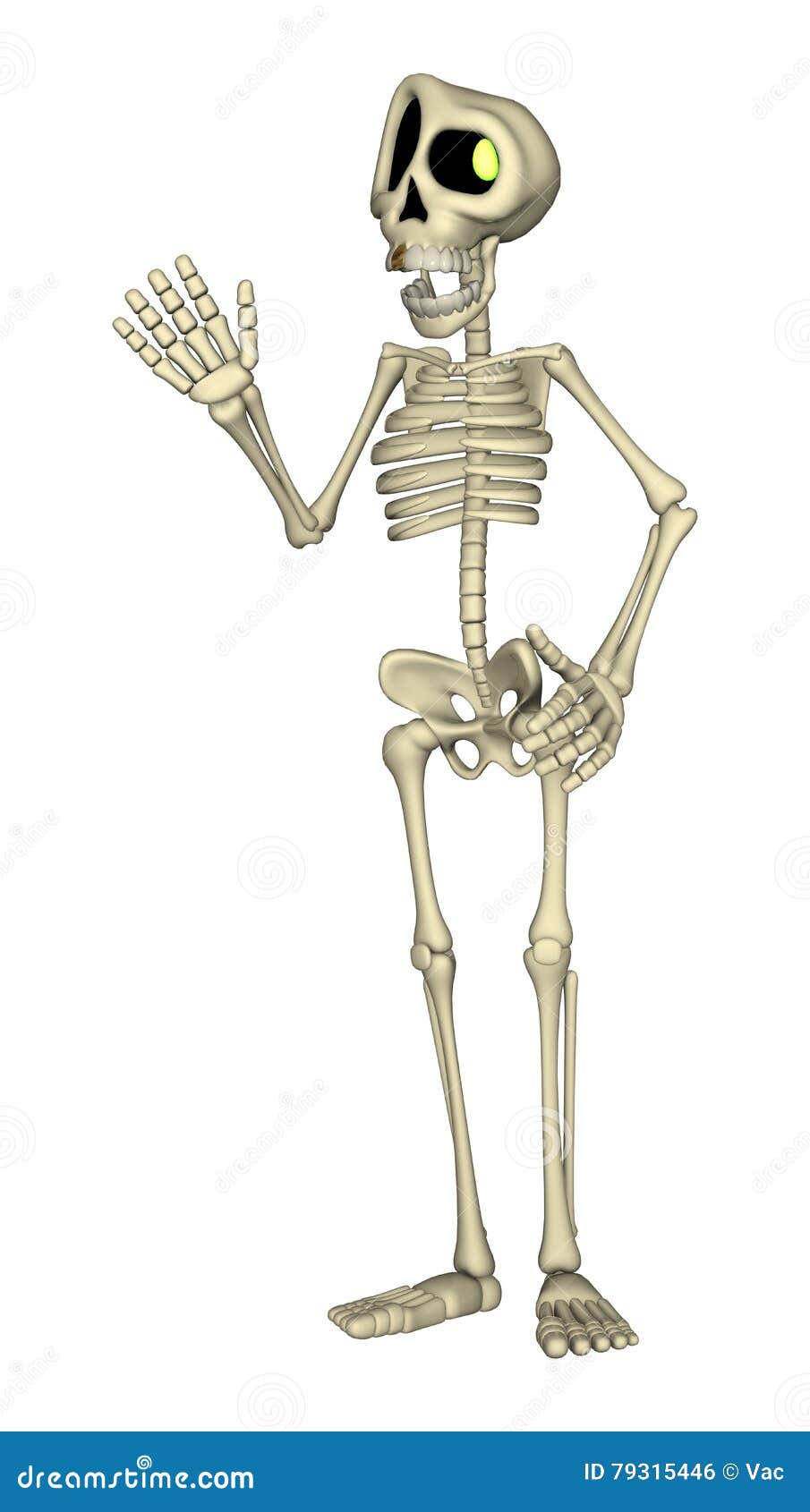 3D Che Rende Scheletro Umano Su Bianco Illustrazione di Stock ...