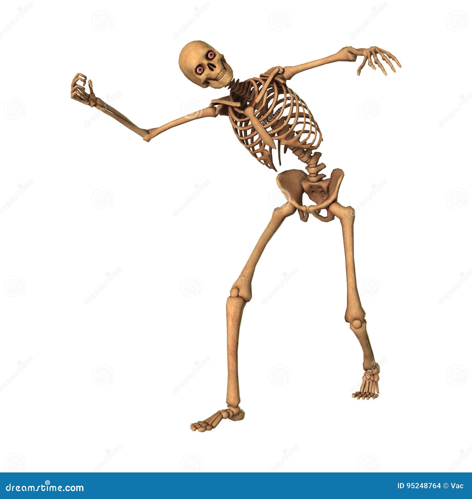 3D Che Rende Scheletro Umano Su Bianco Illustrazione di Stock ...