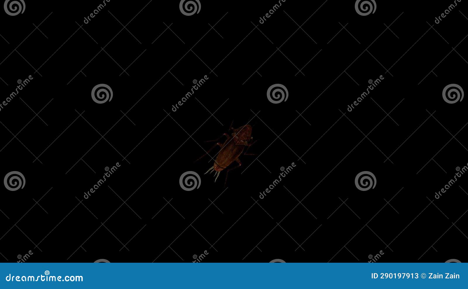 3D Cockroach Insect Walking on the Wall Rendering with Alpha Matte ...