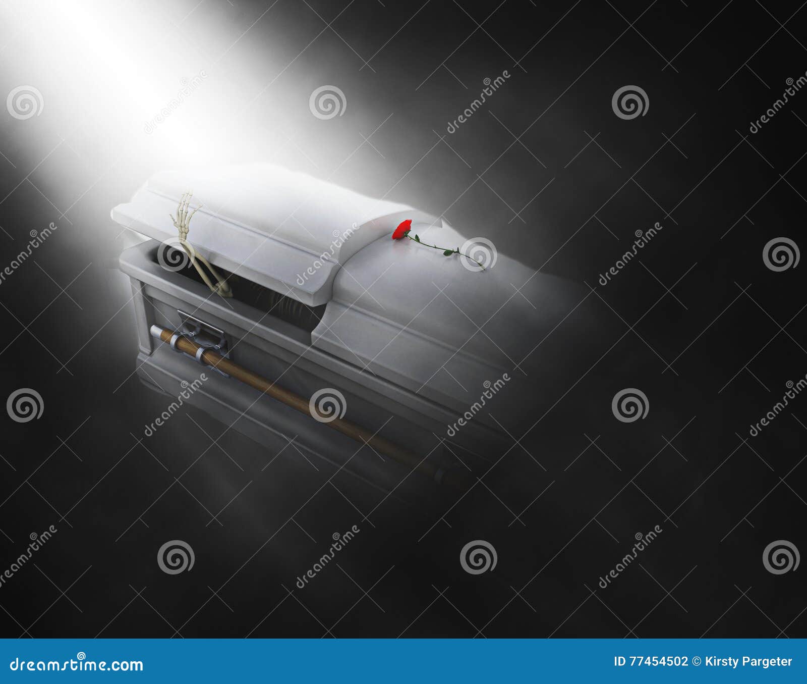 Skeleton In Casket On White Background Stock Photography ...