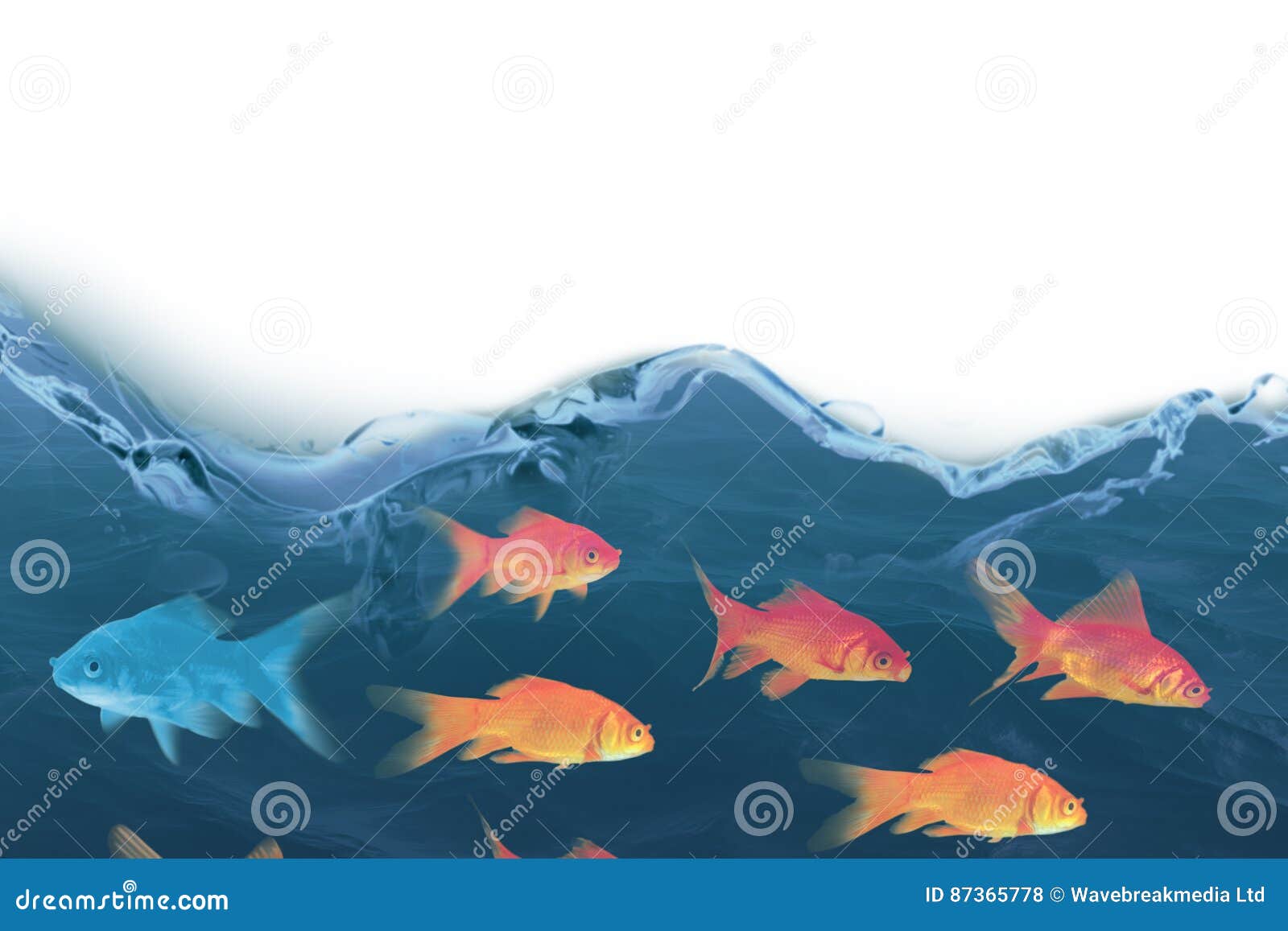 3D Composite Image of Side View of Fish Swimming Stock Photo - Image of ...