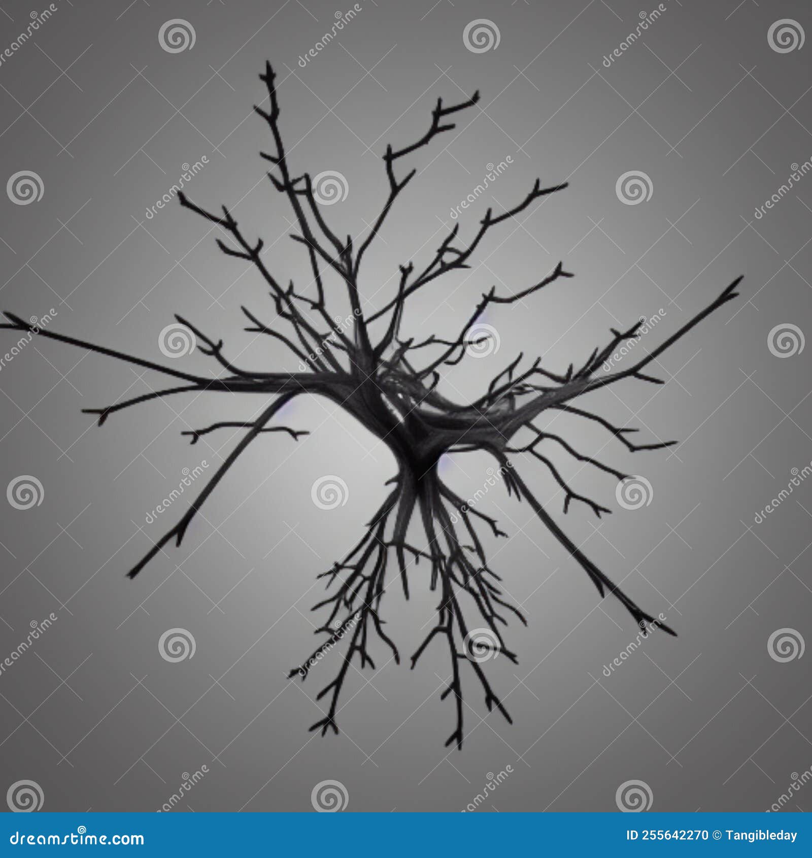 3D Computer Generated Neuron Cell with Glossy Dark Reflective Surface ...
