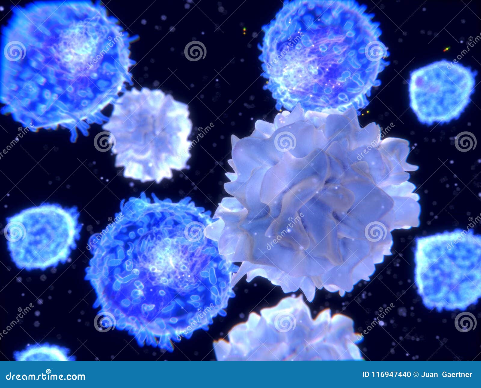 Innate And Adaptive Immune System. Immunology Infographic With Cell ...