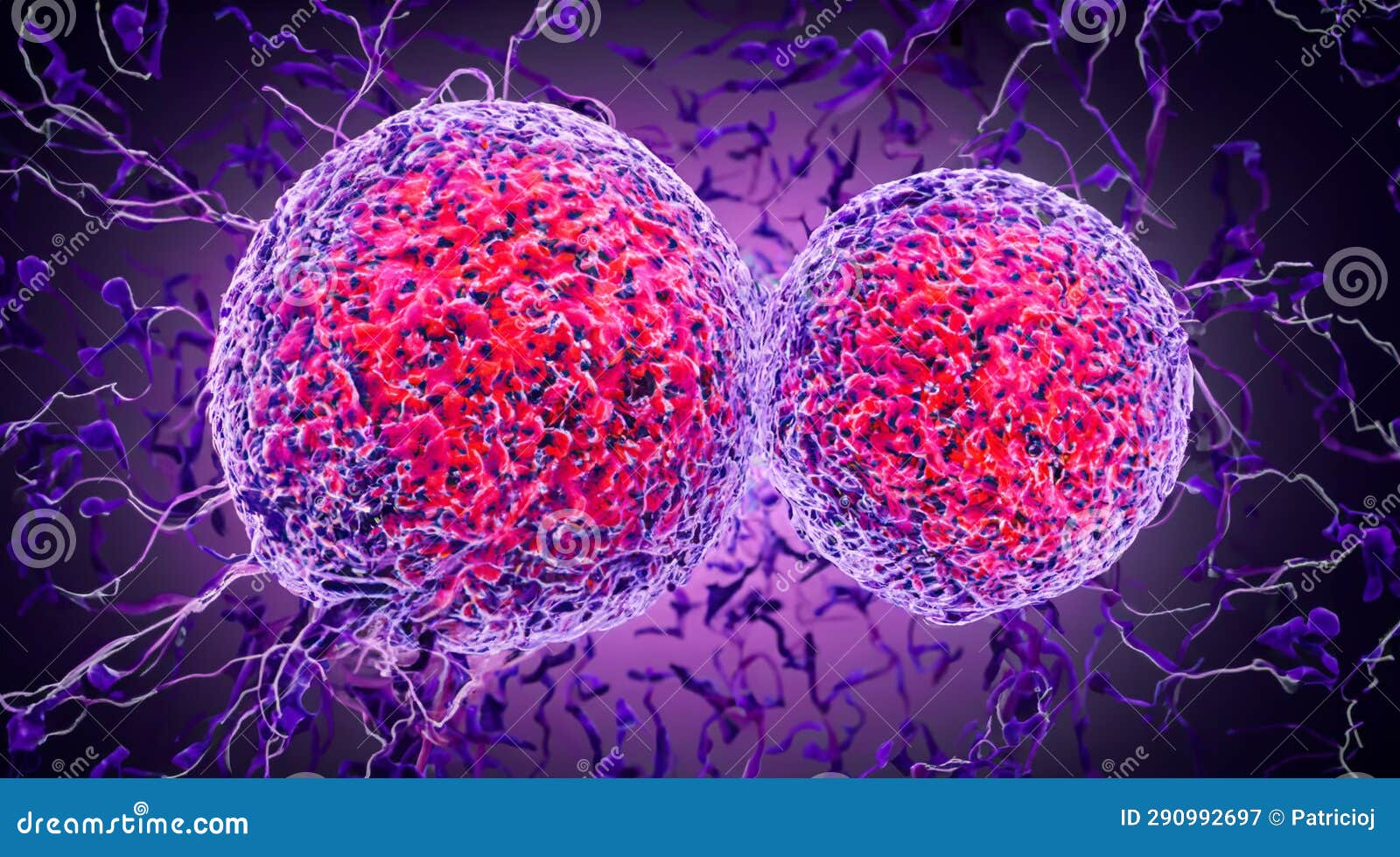 A Microscopic View of a Cancer Cells Splitting. Stock Illustration ...