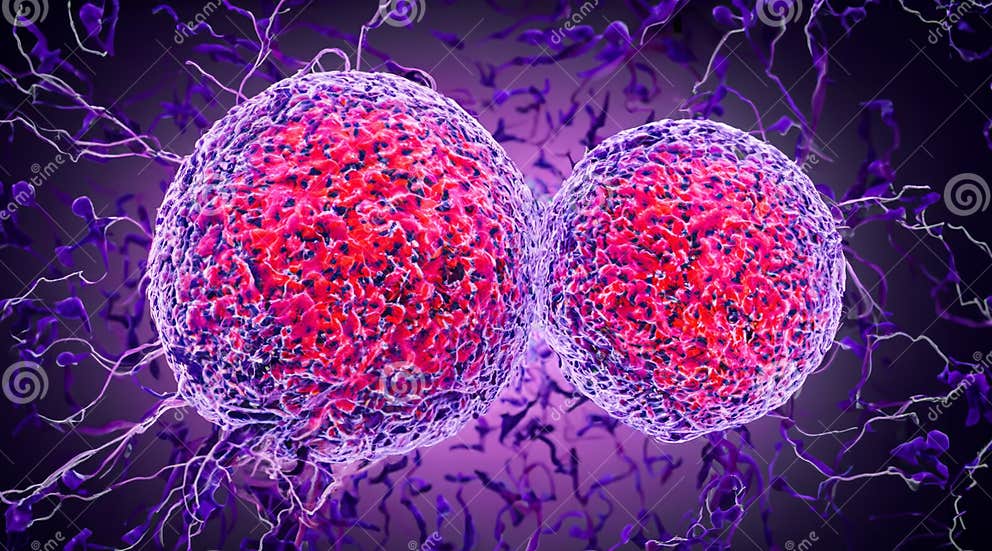 A Microscopic View of a Cancer Cells Splitting. Stock Illustration ...