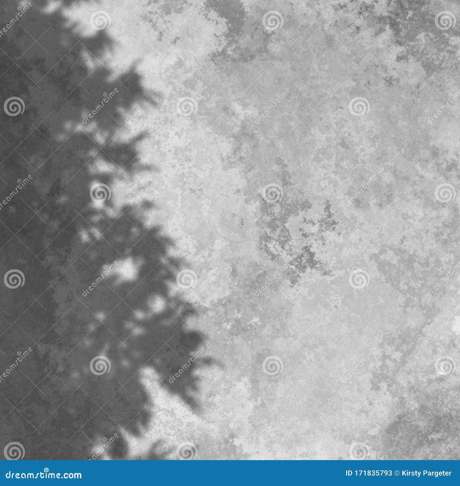 3D Concrete Texture Background with Tree Shadow Overlay Stock Image ...