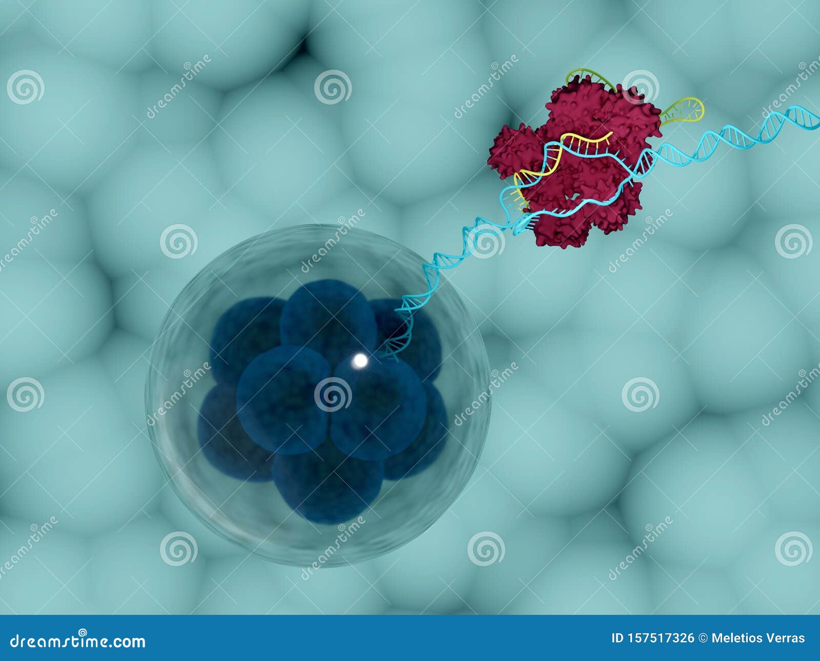 CRISPR Technology Vector Logo | CartoonDealer.com #166603457