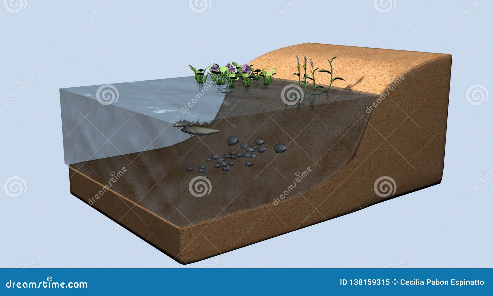 Lake Cross Section Stock Illustrations – 103 Lake Cross Section Stock ...