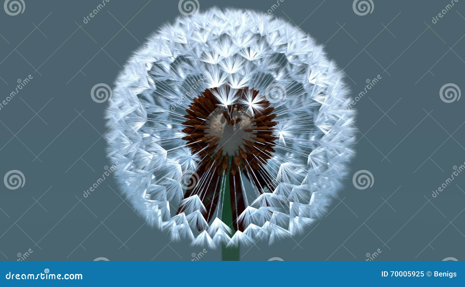 3d Dandelion - Heart Shape stock illustration. Illustration of render ...