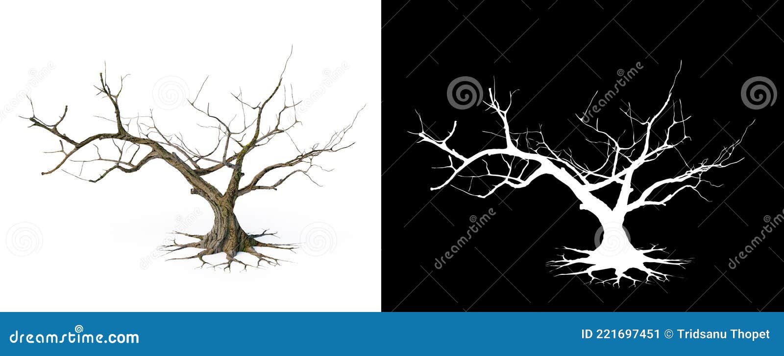 3D Death Tree On White Background With Clippings Path Royalty-Free ...