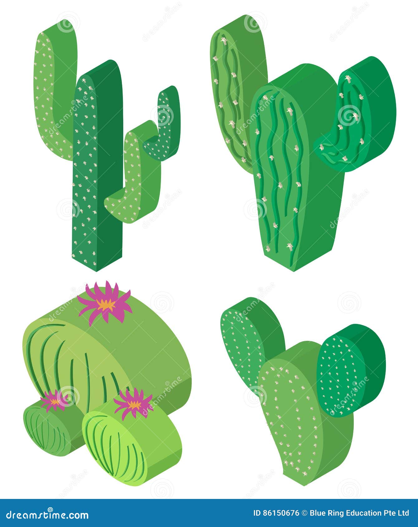 3D Design for Cactus Plants Stock Vector - Illustration of path ...