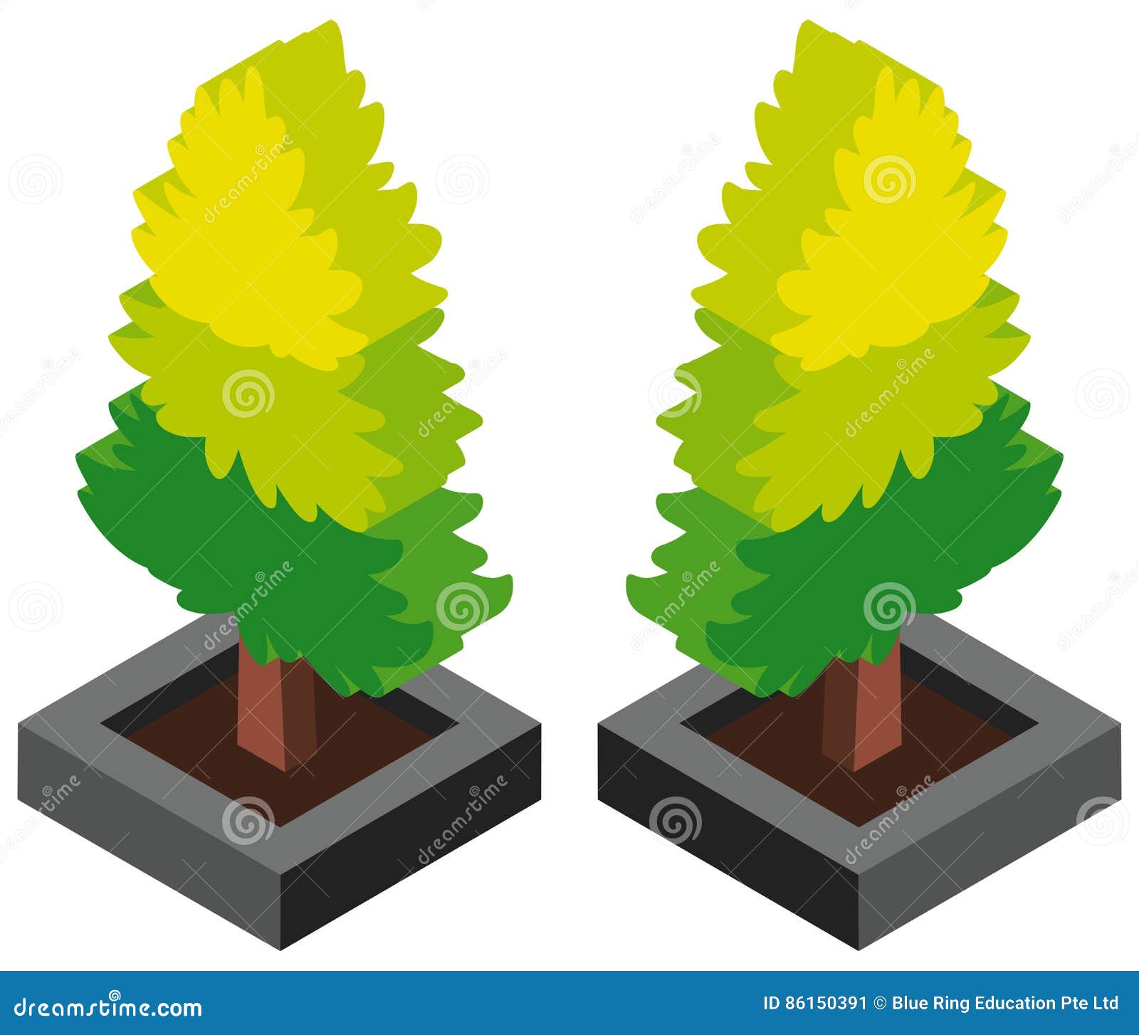 3D design for pine tree stock vector. Illustration of plant - 86150391
