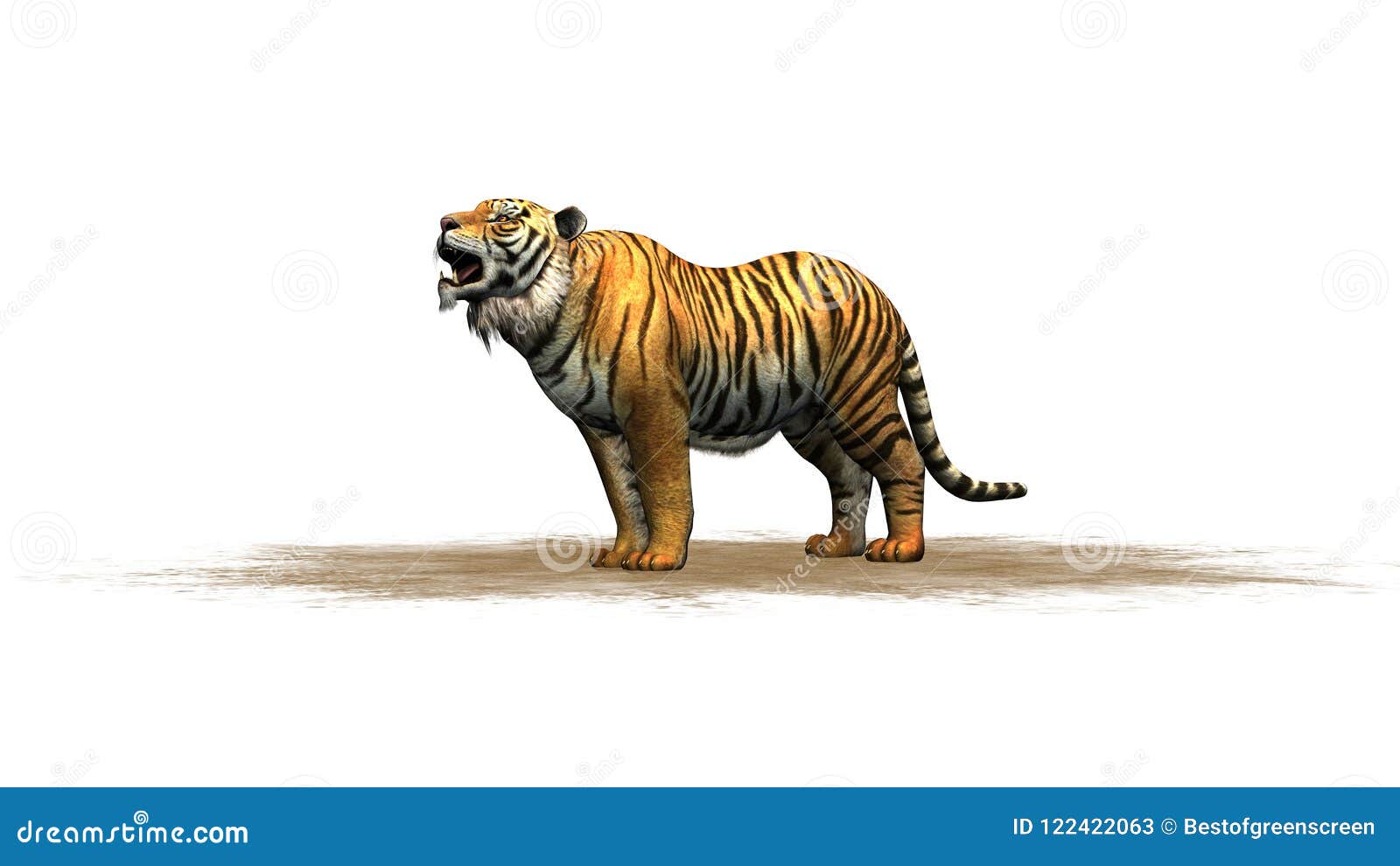 3D Digital Render of a Standing Tiger Stock Illustration - Illustration ...