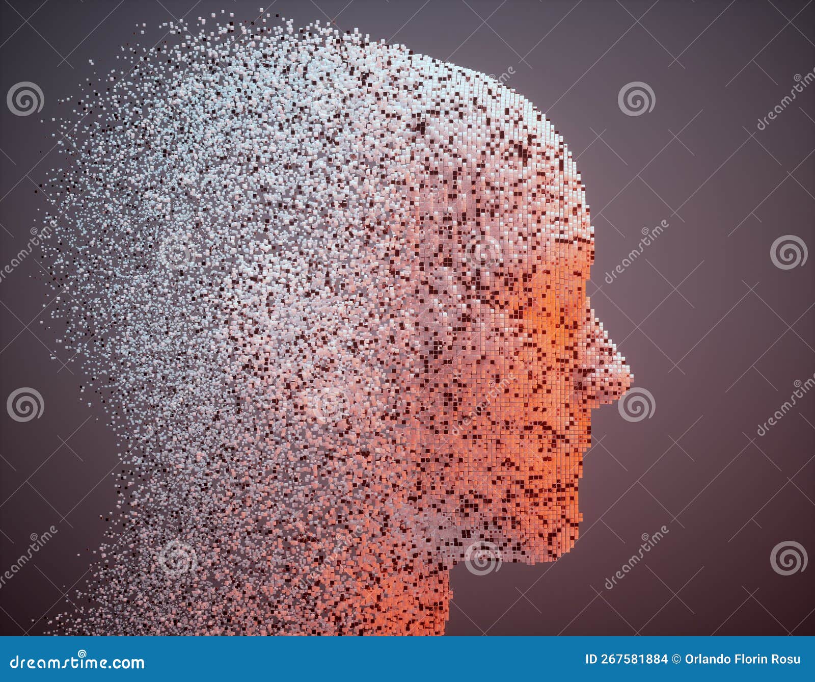 3D Dissolving Human Head Made with Cube Particles Stock Illustration ...