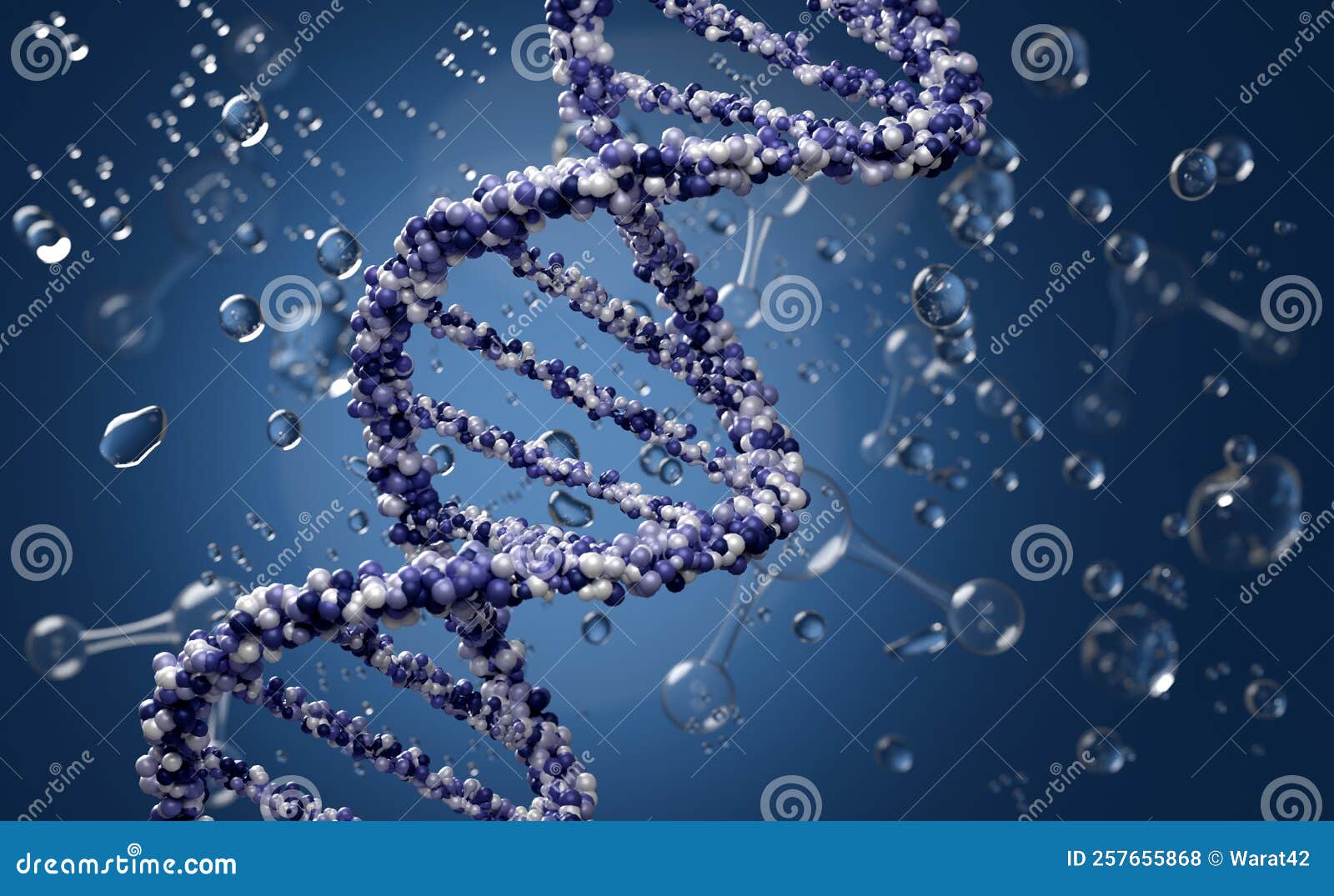 Dna Structure Diagram 3d