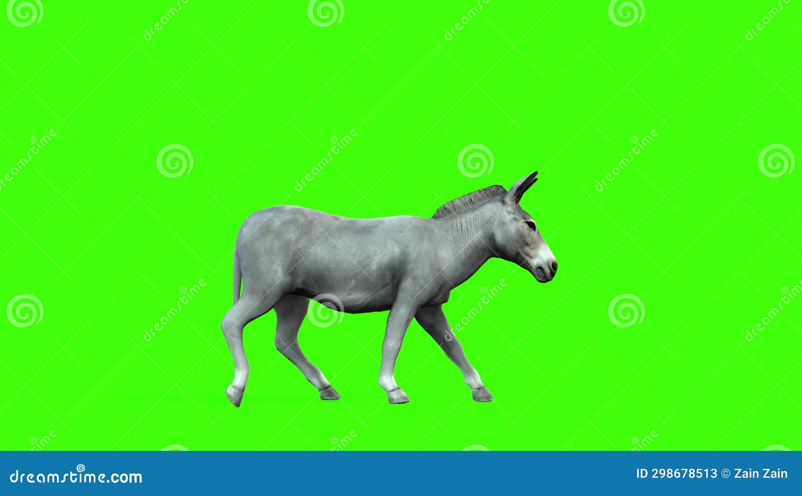 3D Donkey Animal Slowly Walking Animation Loop with Cycle View on ...