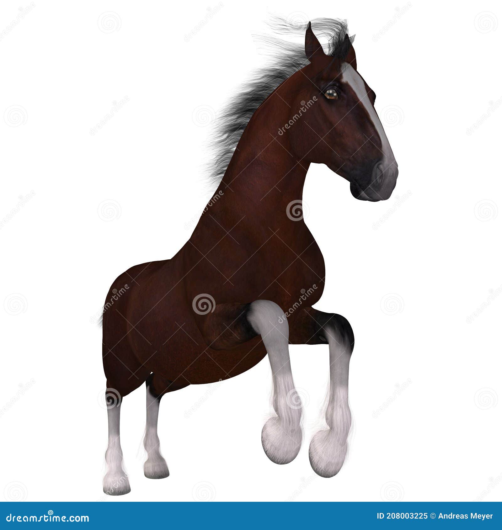 Draft Horse Vector Illustration | CartoonDealer.com #31307334