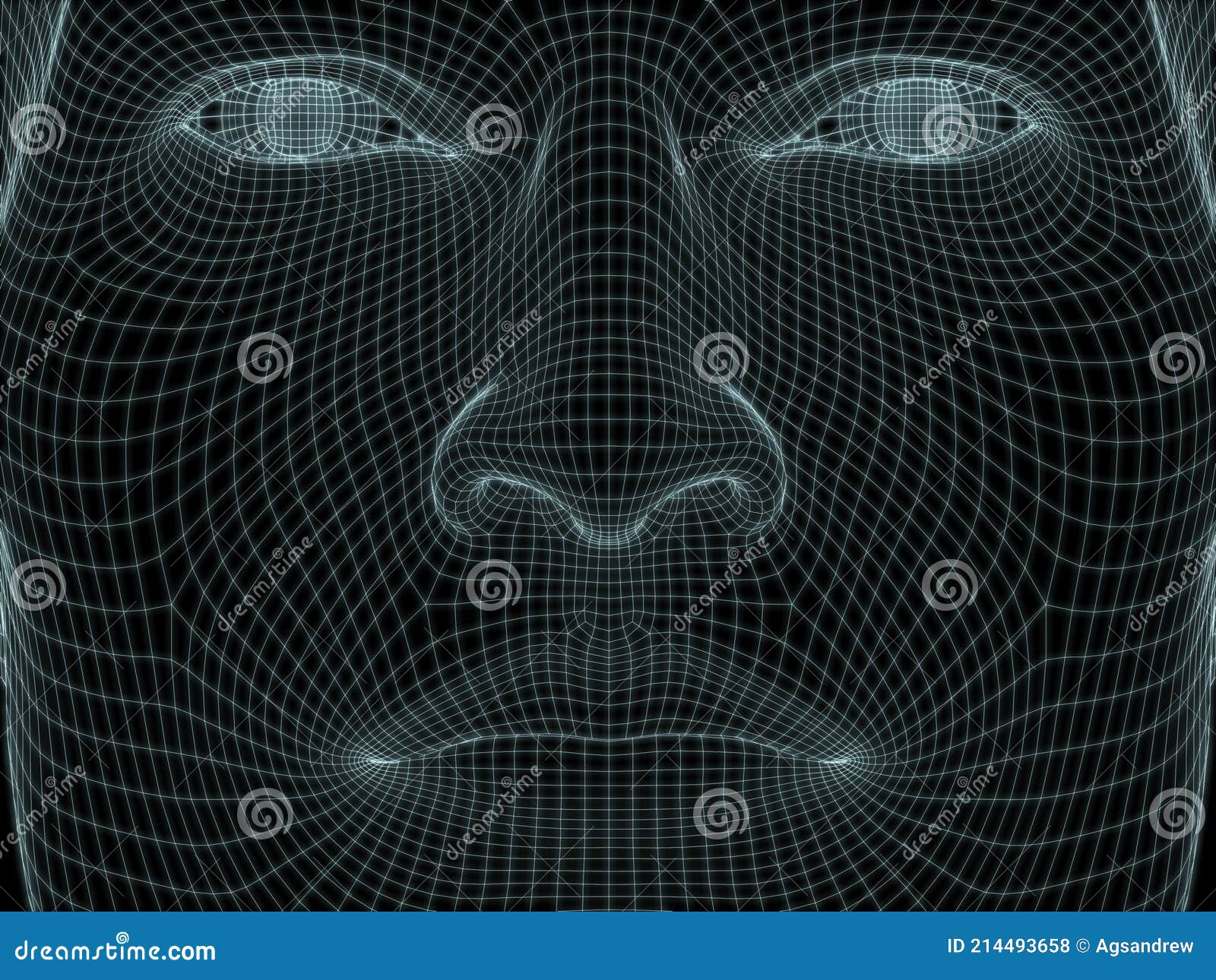 3D Face Wire Mesh stock illustration. Illustration of identity - 214493658