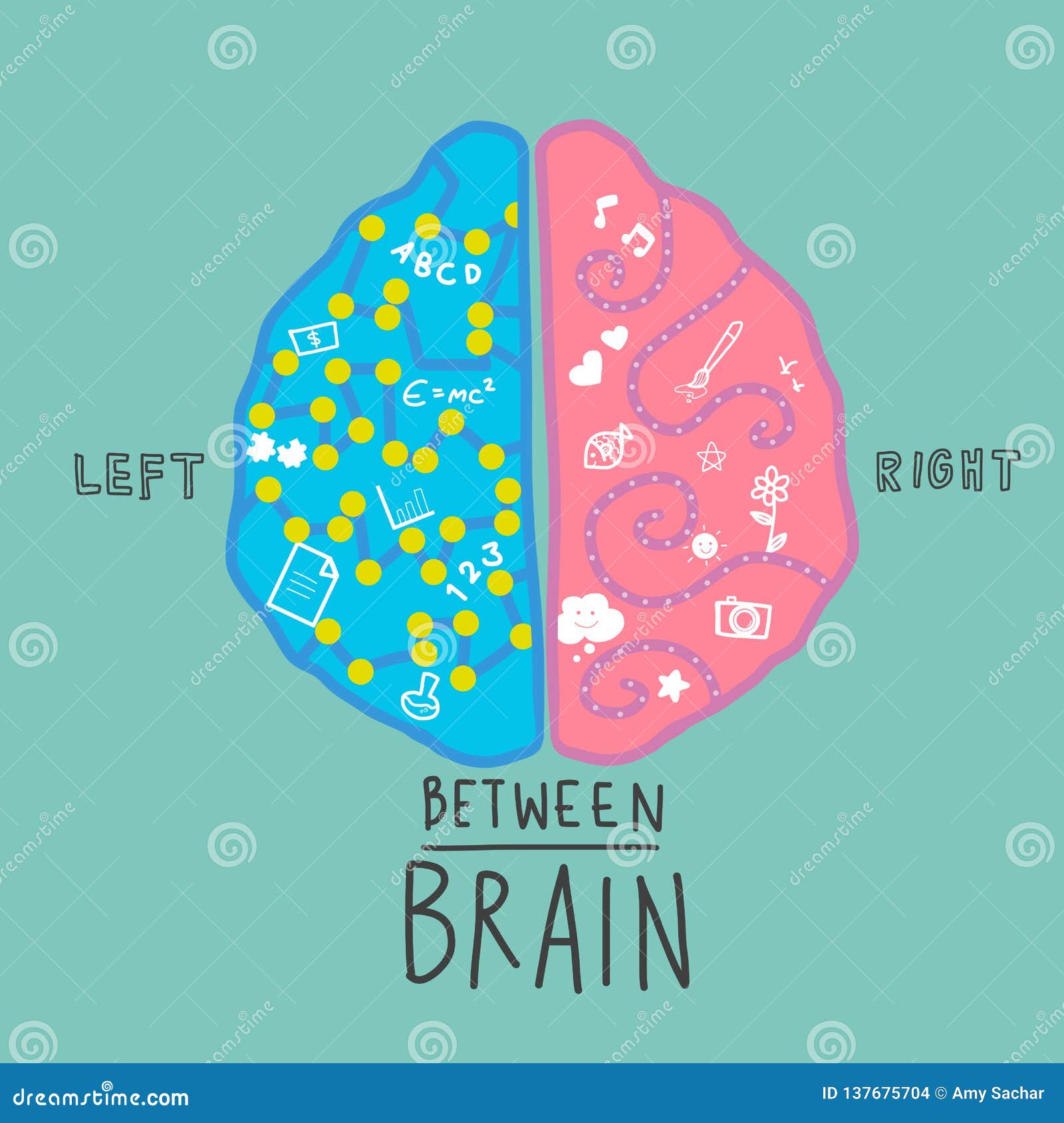 Left and Right Brain Infographic Vector Illustration Stock Vector ...