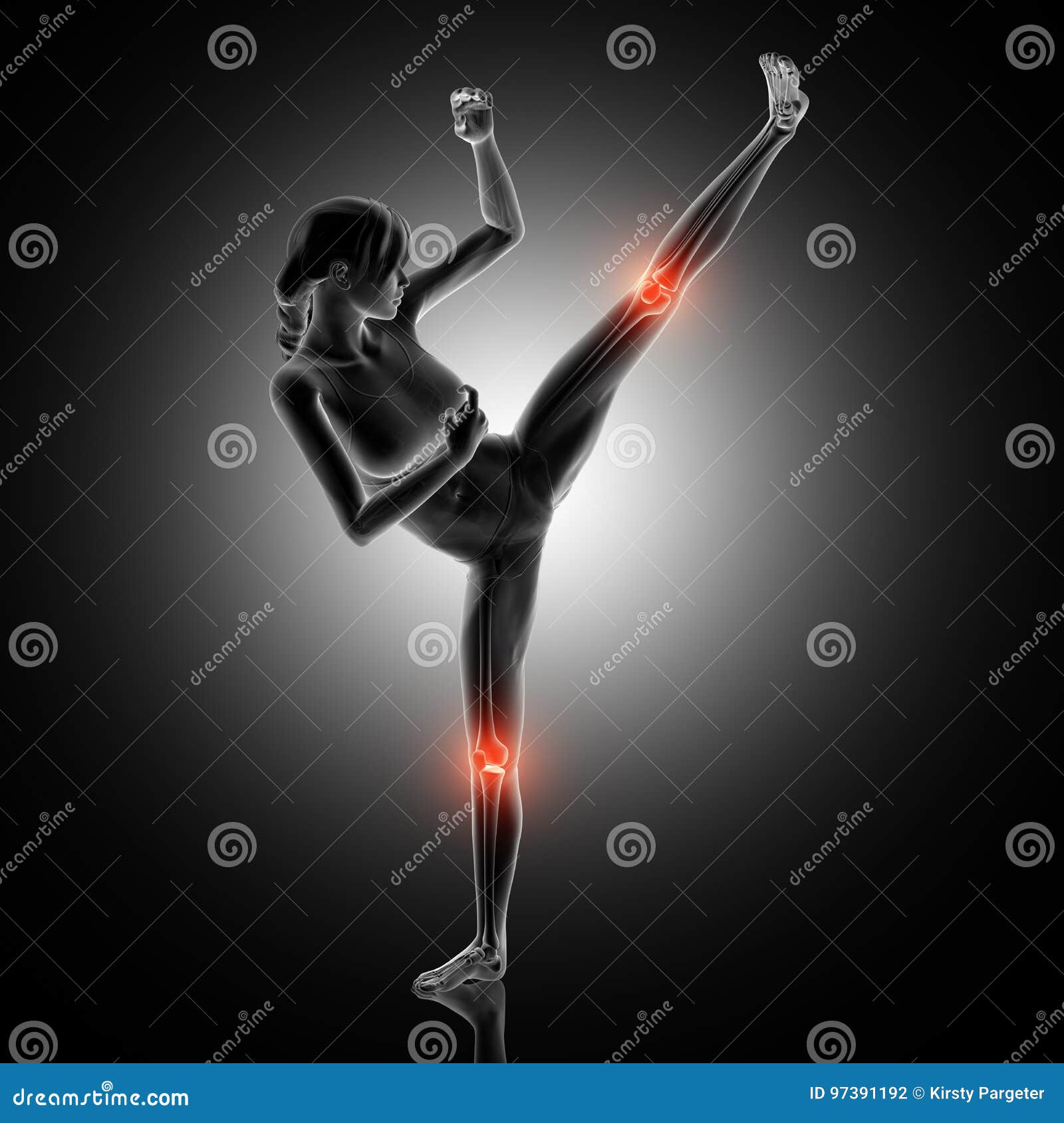 3D Female Figure in Kick Boxing Pose with Knee Joints Highlighted Stock ...