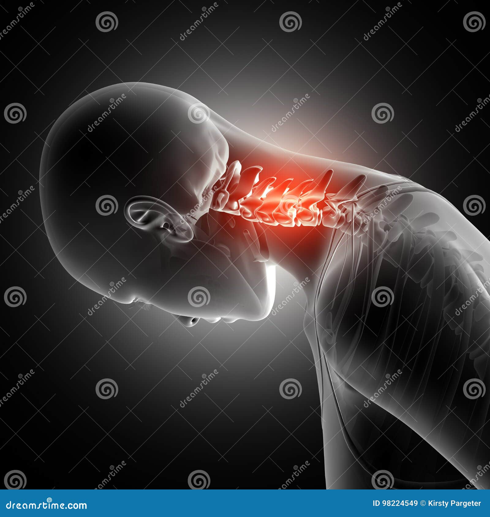 3D Female Figure with Neck Bones Highlighted Stock Illustration ...