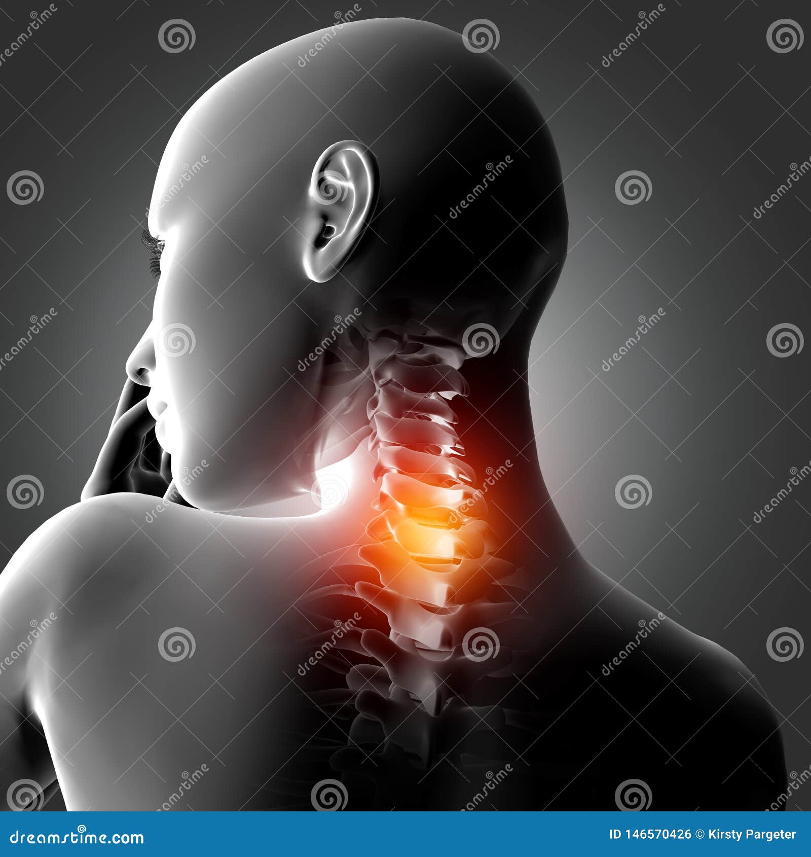 3D Female Medical Figure with Neck Bones Highlighted Stock Illustration ...