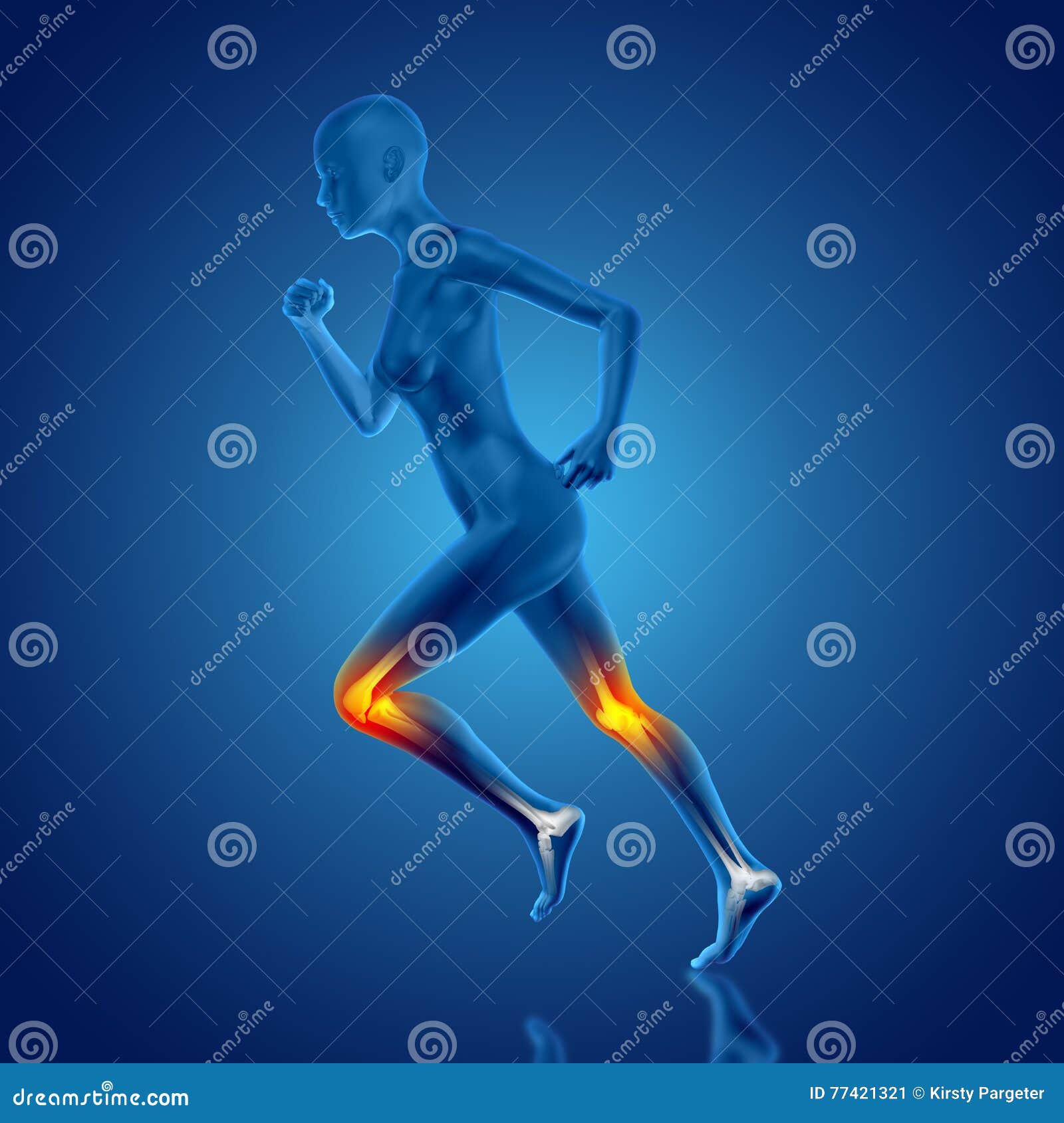3D Female Medical Figure Running with Knee Bones Highlighted Stock ...
