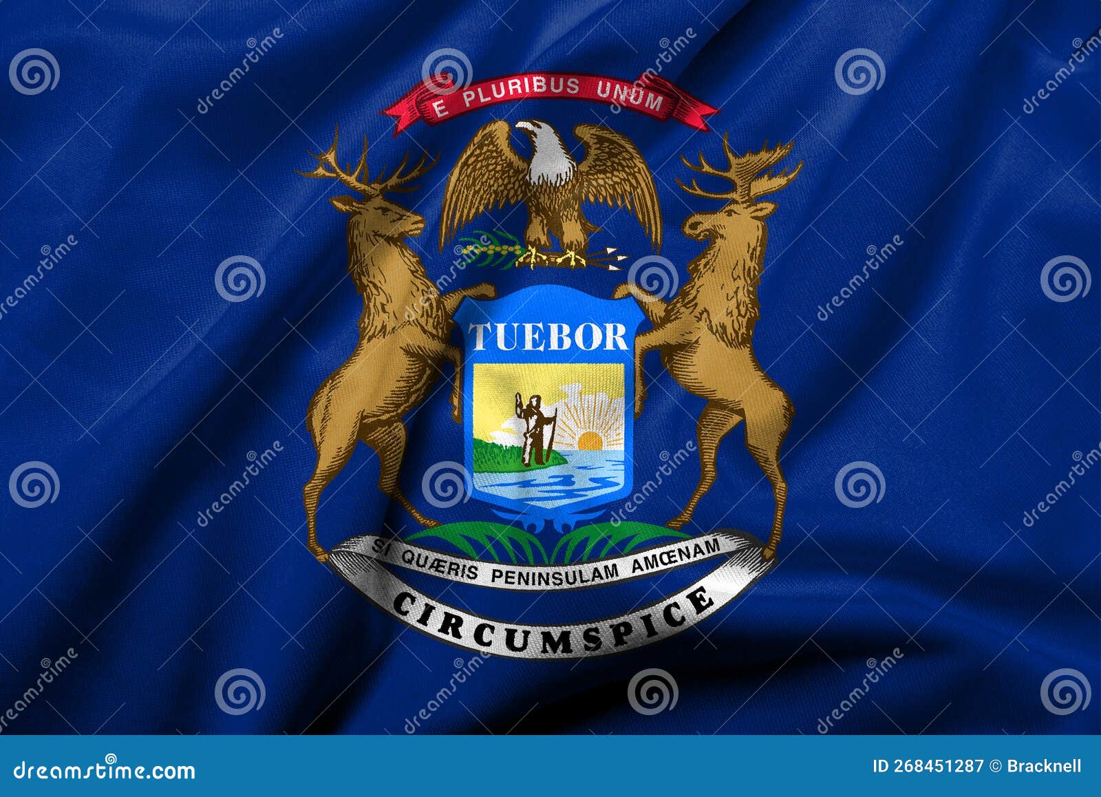 3D Flag of Michigan satin stock image. Image of geography - 268451287