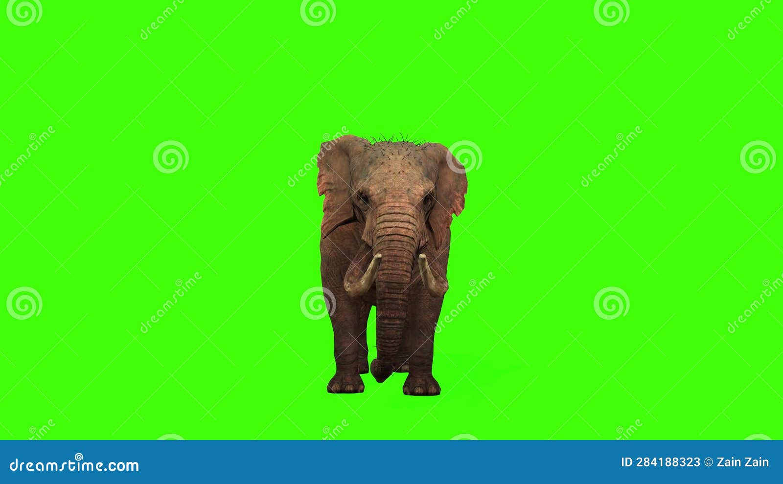 3d Front View of a Large Elephant Attacking with Face and Ivory Tusks ...