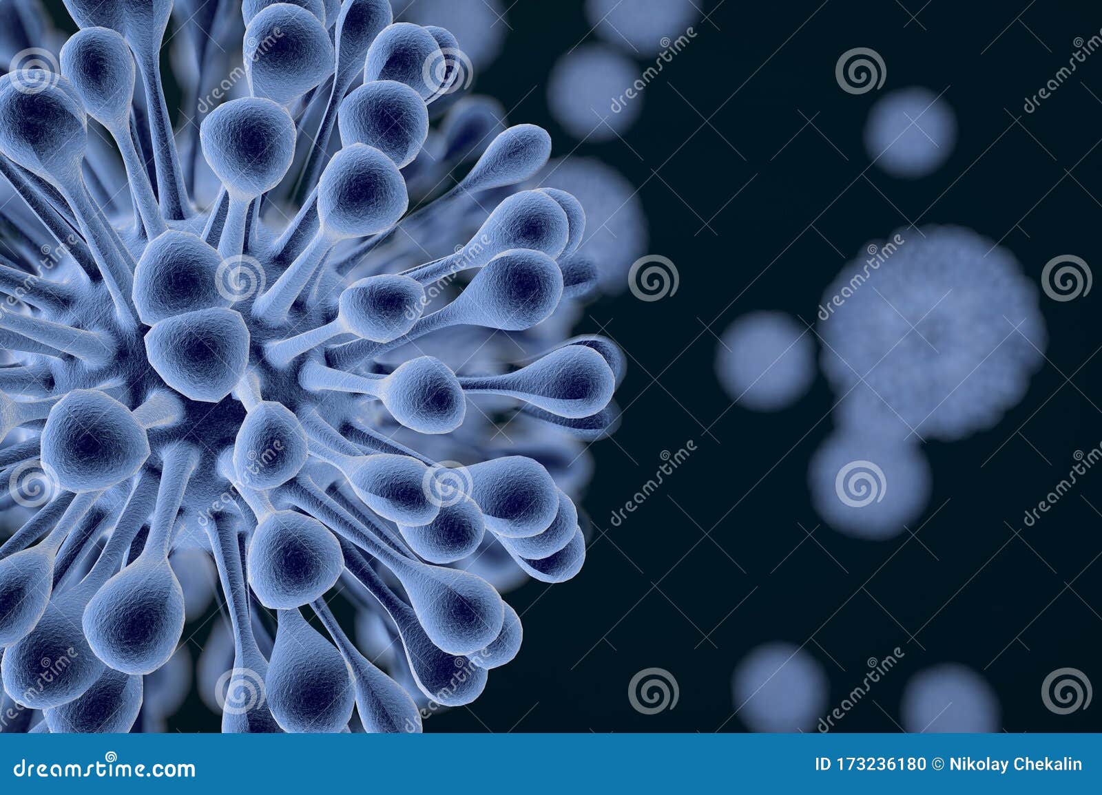 Blood Under The Microscope, Red Blood Cells Moving Through The Vein, 3d ...