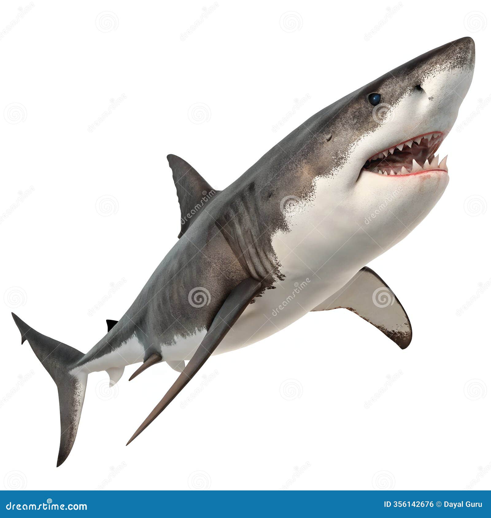 3D Great White Shark Render Isolated on White Background Stock ...
