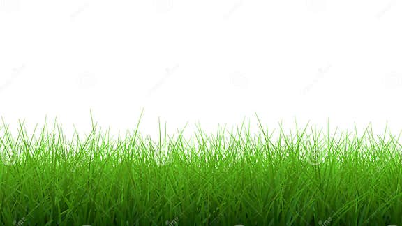 3d Green grass border stock illustration. Illustration of foliage ...
