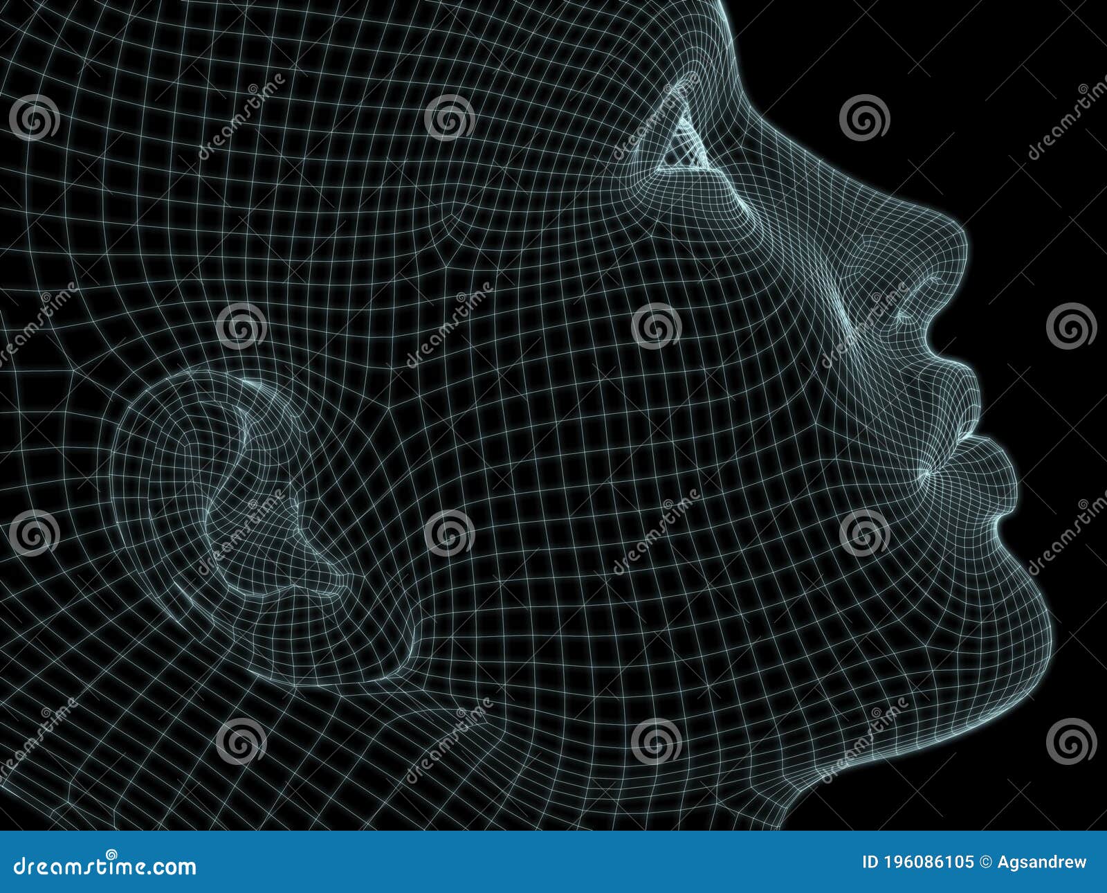 3D Head Mesh stock illustration. Illustration of face - 196086105