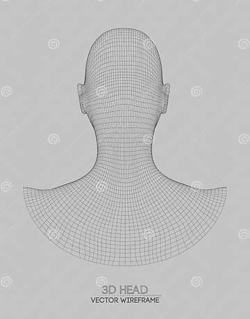 3d Head Wireframe Vector. Drawing of Wireframe Head 3d Model. Vector ...