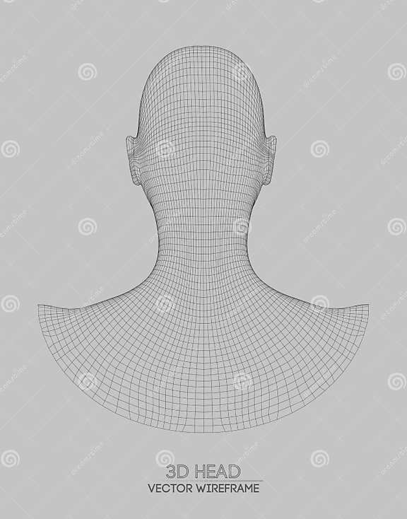 3d Head Wireframe Vector. Drawing of Wireframe Head 3d Model. Vector ...