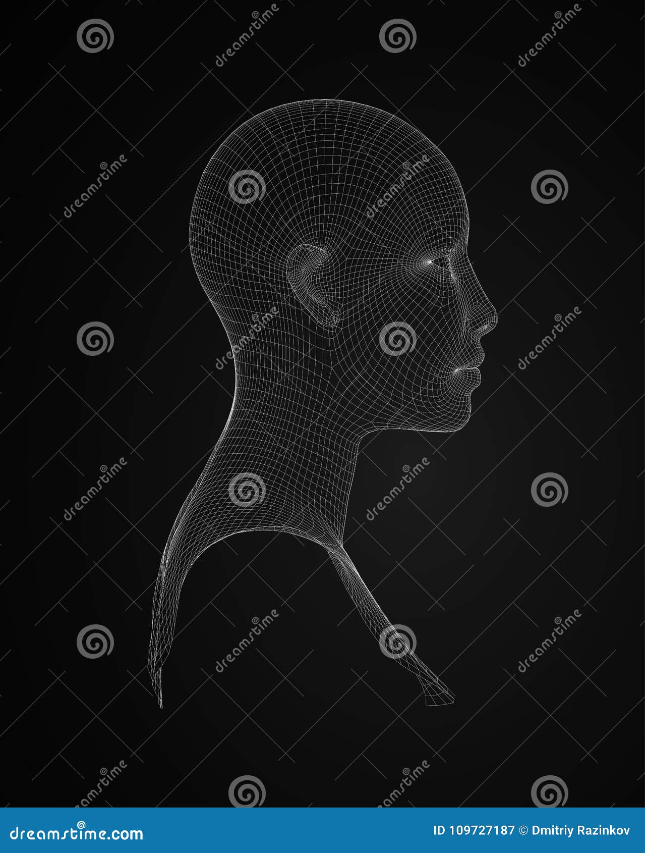 3d Head Wireframe Vector. Drawing of Wireframe Head 3d Model. Vector ...