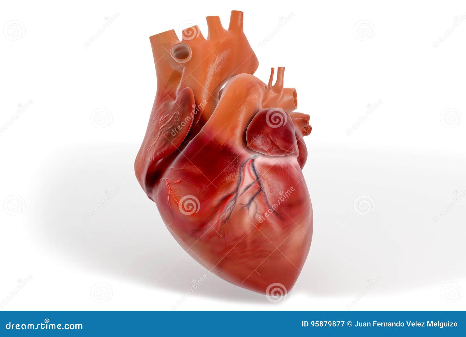 3D Heart Textured stock illustration. Illustration of life - 95879877