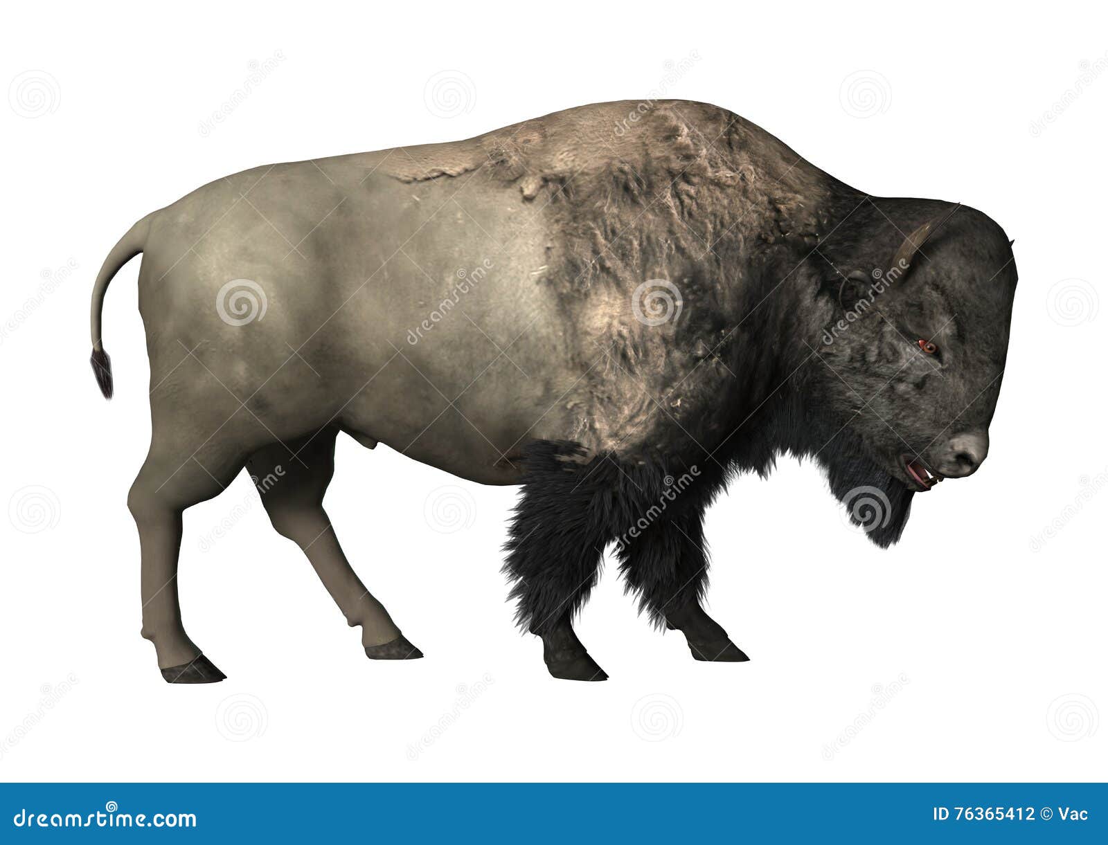 3D Het Teruggeven Bizon Op Wit Stock Illustratie - Illustration of ...