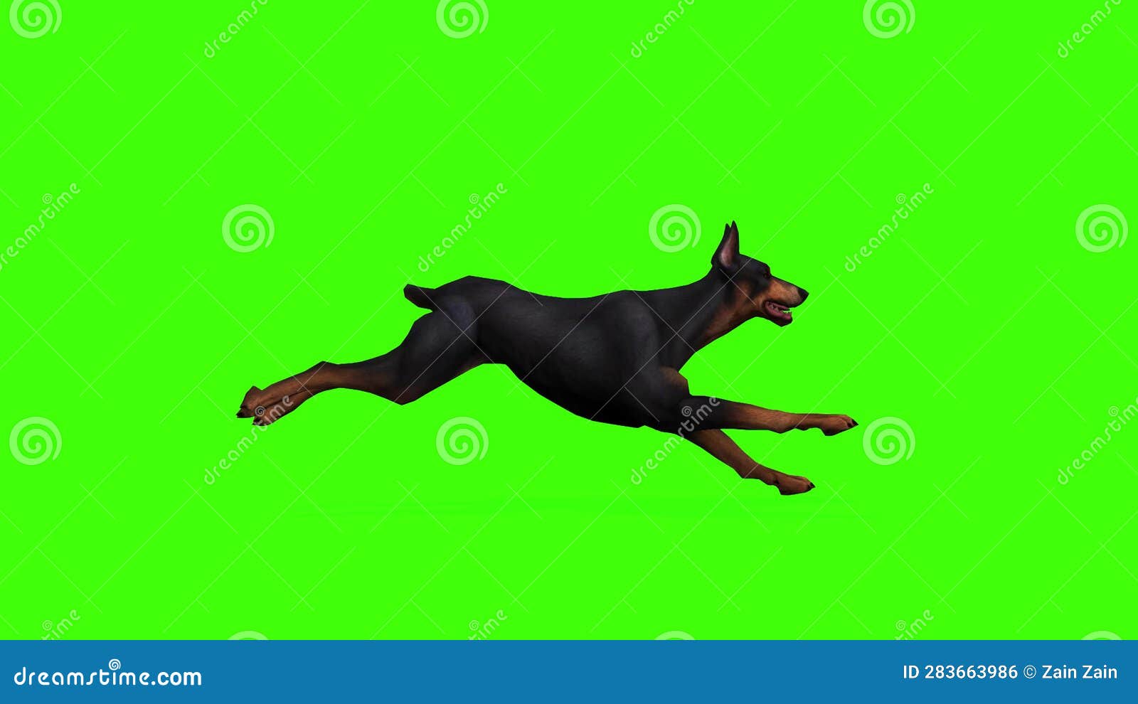 3D Hound Fast Running Walk Cycle Side View Loop Animation on Chroma Key ...