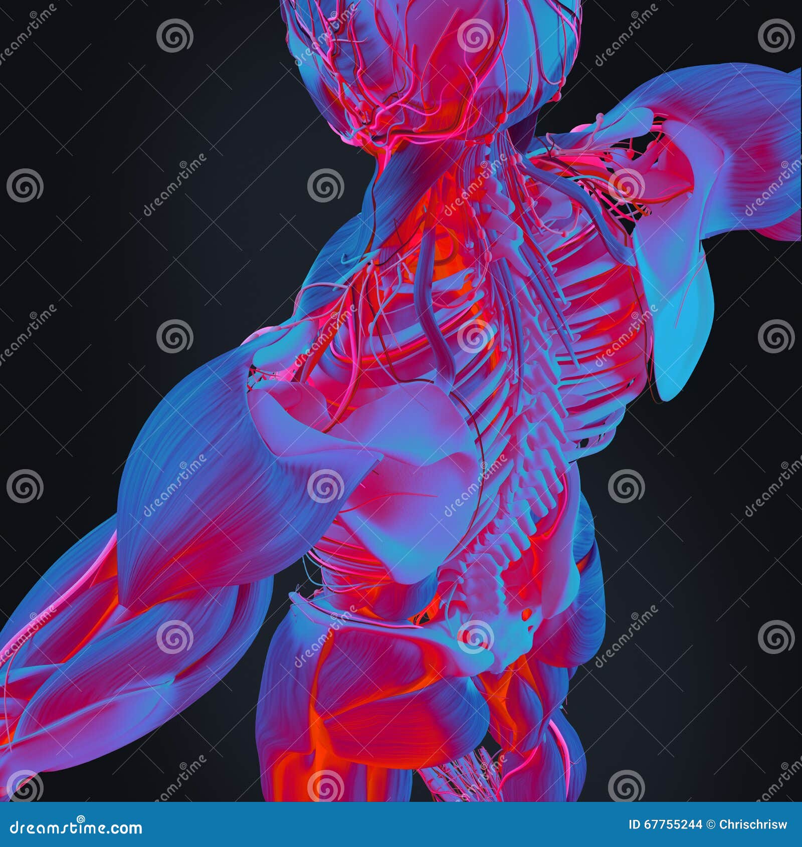 1,439 Human Thermal Image Stock Photos - Free & Royalty-Free Stock ...