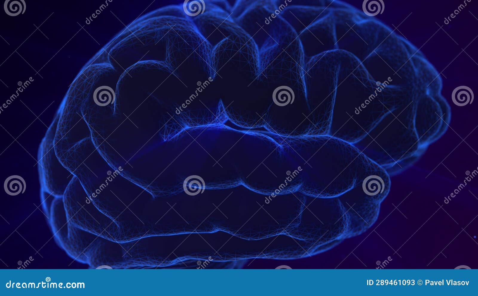 3D Human Brain Made of High-tech Linear Grid with Motion Camera Effect ...