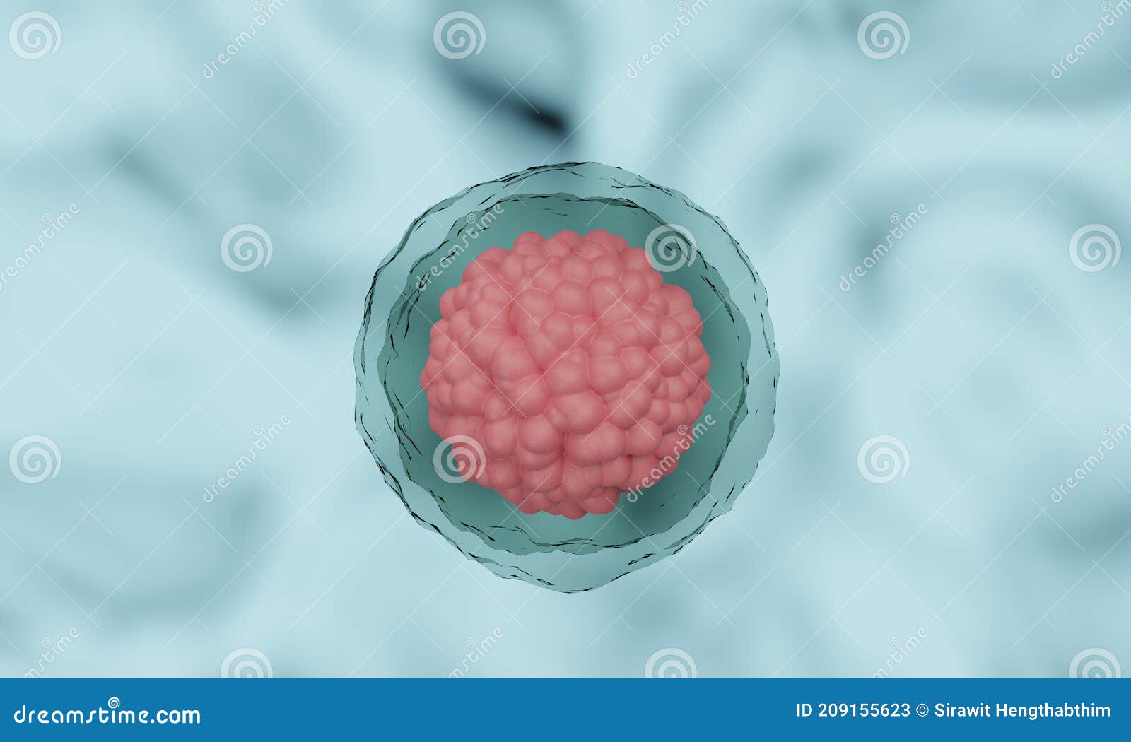 3d : Human Cell or Embryonic Stem Cell Microscope Background. 3d ...