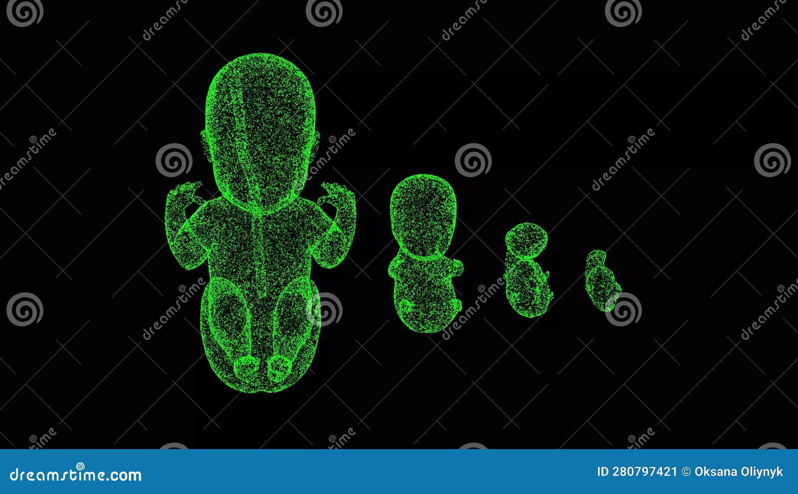 3D Human Embryo Rotates on Black Bg. the Development of the Human ...