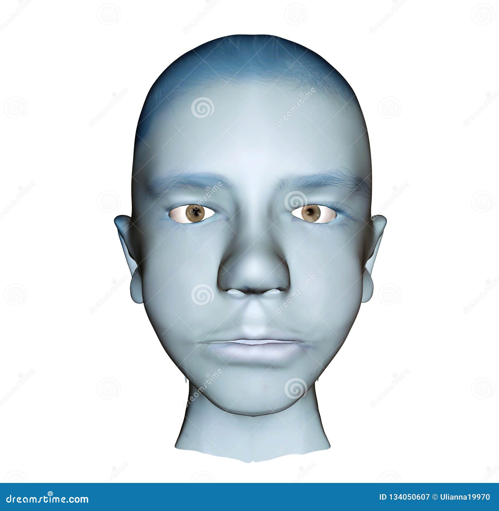 3d Human Head Illustraiton Front View Stock Illustration - Illustration ...