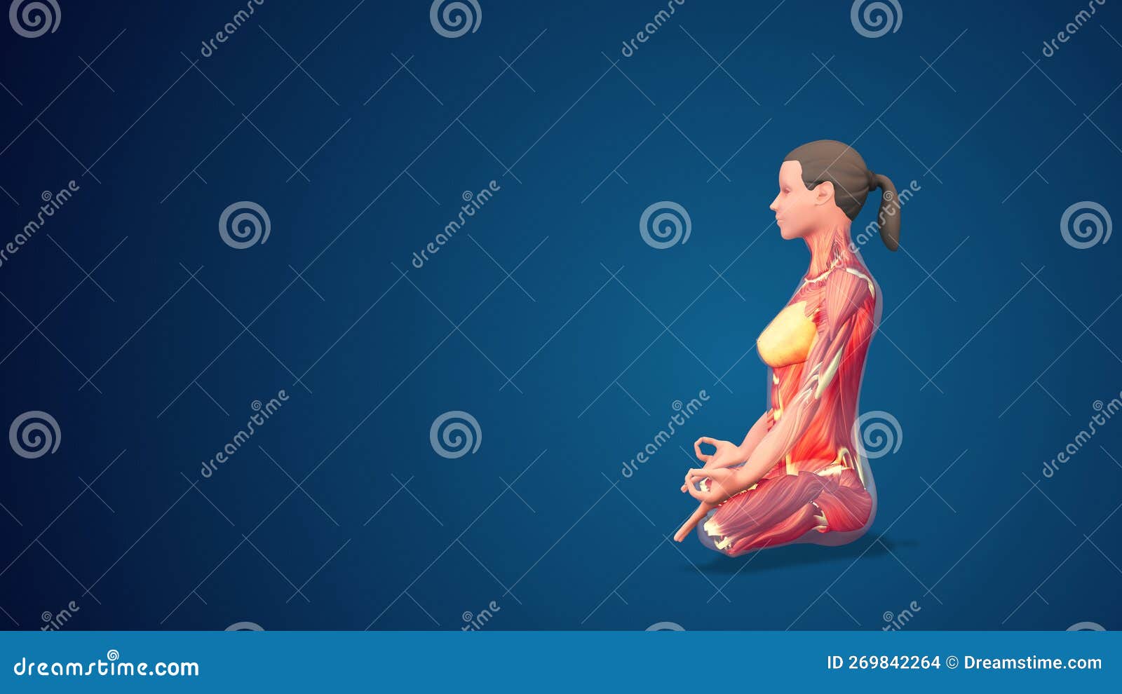3D Human Siddhasana with Hand Mudra Yoga Pose on Blue Background Stock ...