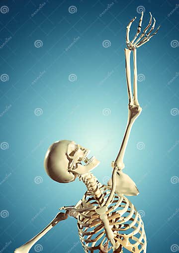 3d Human Skeleton Reaching through Hands Stock Illustration ...