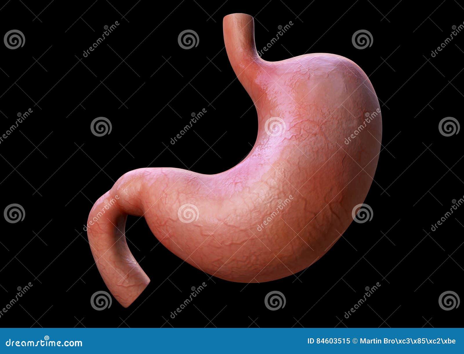 3d human stomach stock illustration. Illustration of burning - 84603515 3d human stomach stock illustration. Illustration of burning - 84603515