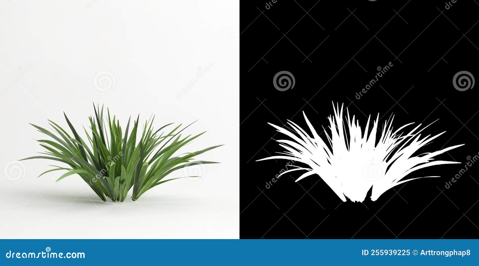 3d Illustration of Acorus Calamus Tree Isolated on White and Its Mask ...