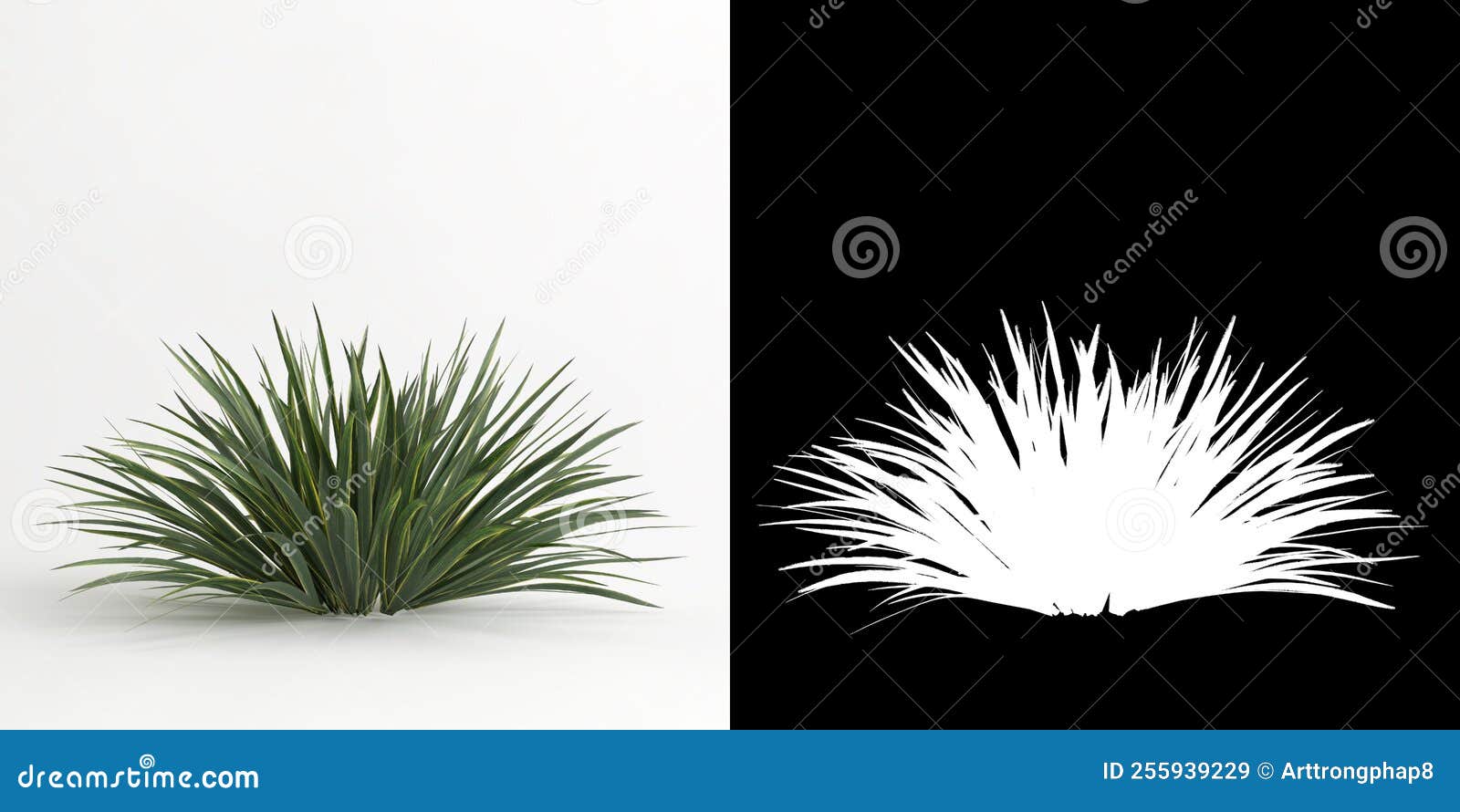 3d Illustration of Acorus Calamus Tree Isolated on White and Its Mask ...